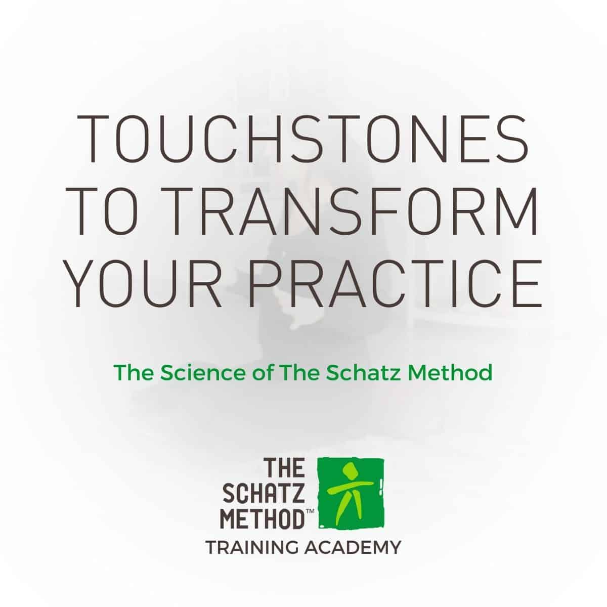 Touchstones to Transform Your Practice - The Schatz Method Training Academy