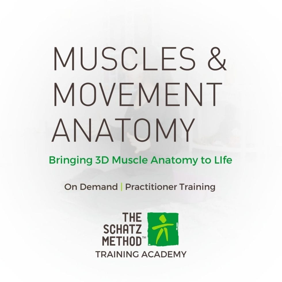 Muscles & Movement Anatomy - The Schatz Method