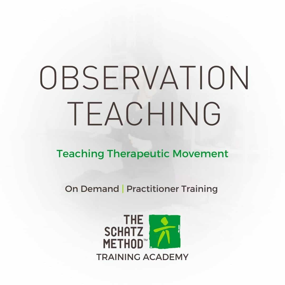 Observation Teaching - The Schatz Method Training Academy