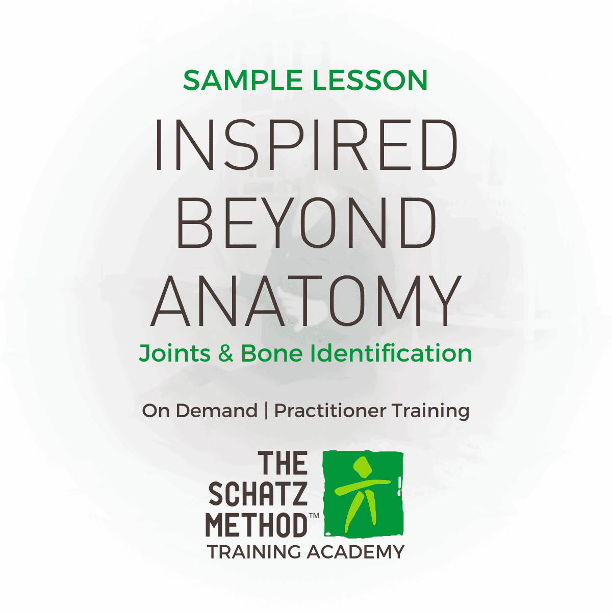 Intro to Inspired Beyond Anatomy: Joints & Bone ID - The Schatz Method ...