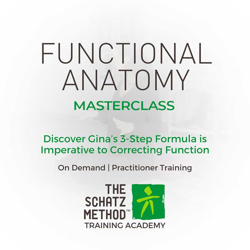 Functional Anatomy Virtual Retreat - The Schatz Method Training Academy
