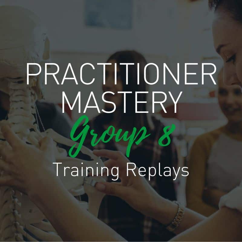 Group 8 | Practitioner Mastery | Training Replays - The Schatz Method Training Academy