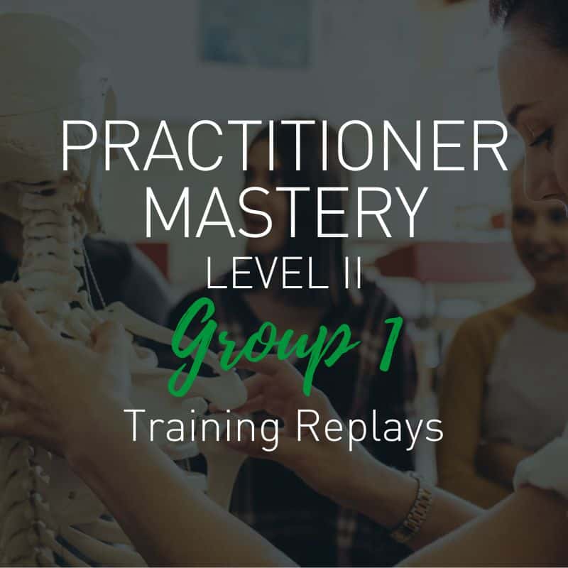 Level 2 Practitioner Mastery | Group 1 | Training Replays - The Schatz ...