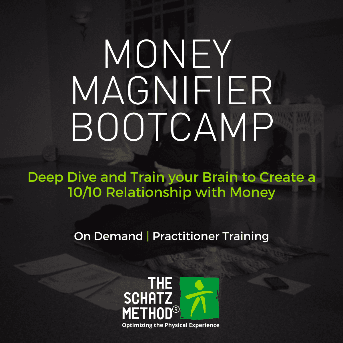Money Magnifier Boot Camp - The Schatz Method