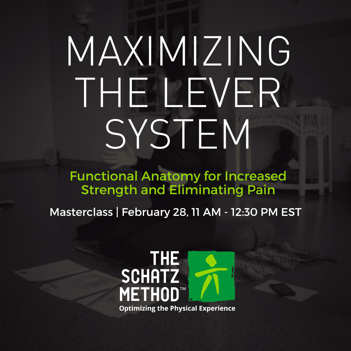 Maximizing the Lever System Masterclass - The Schatz Method Training Academy