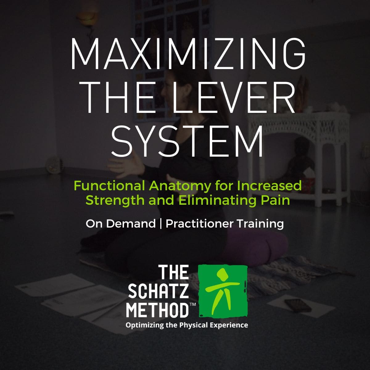 Maximizing The Lever System - The Schatz Method Training Academy